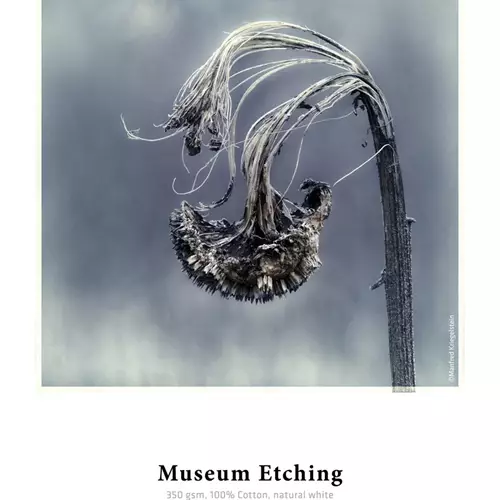 Hahnemühle Museum Etching Art paper 25 sheets | In Stock
